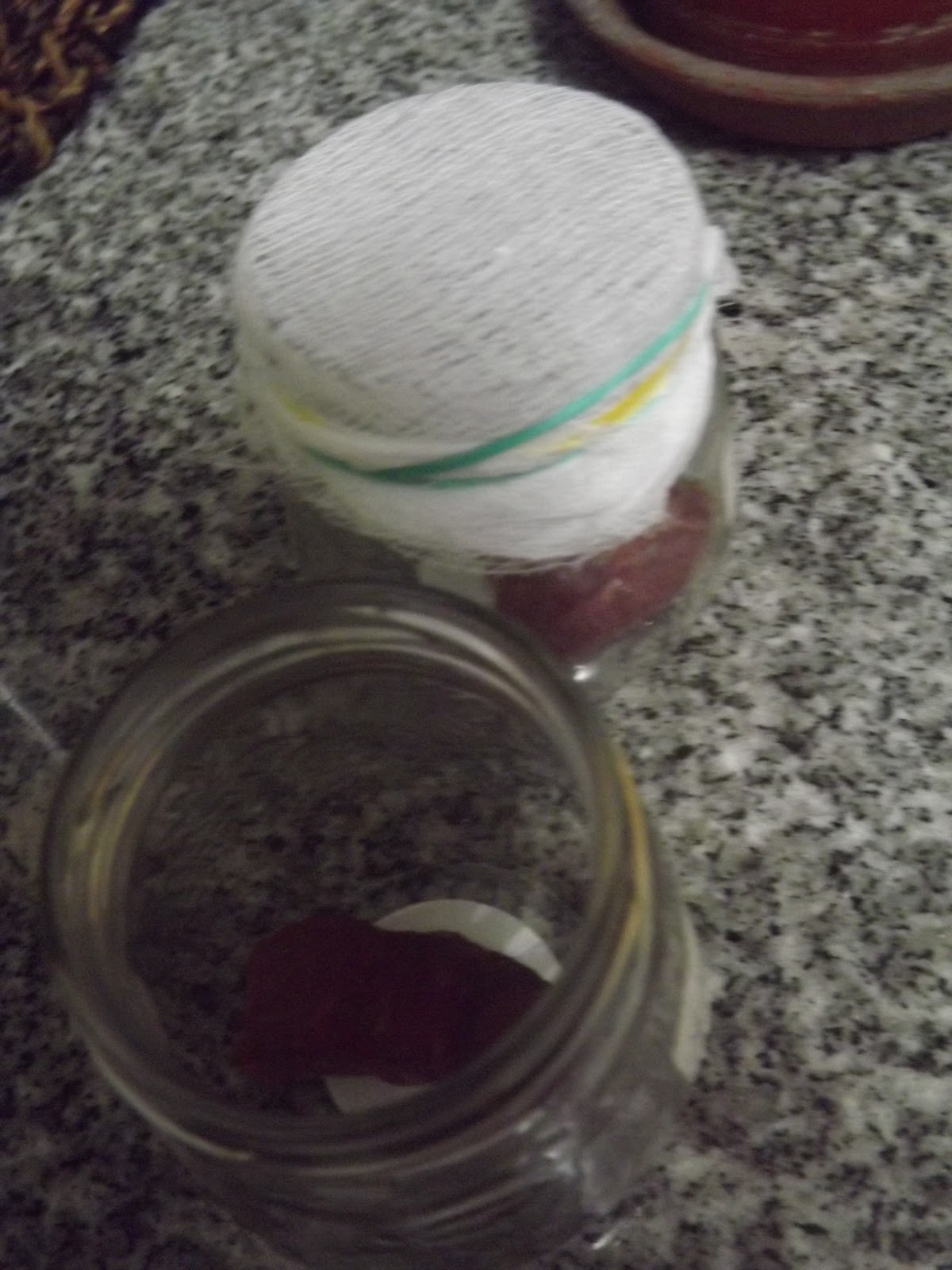 experimento de redi alenka dueñas: Experiemento de Redi